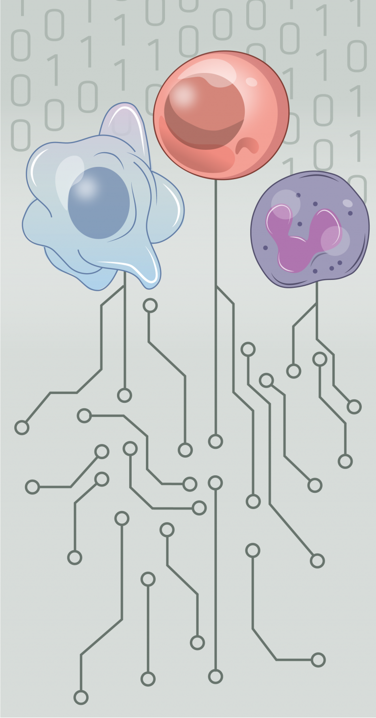 What we do - VenTo Lab