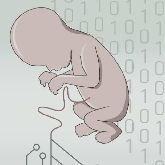 Research - VenTo Lab