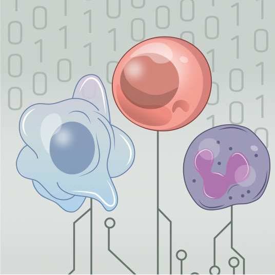 Research - VenTo Lab