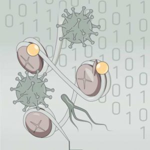 Research - VenTo Lab