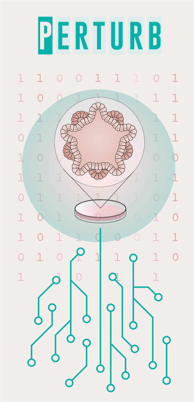 What we do - VenTo Lab